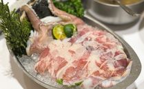 Ninepot - One Ayala, Makati | Booky